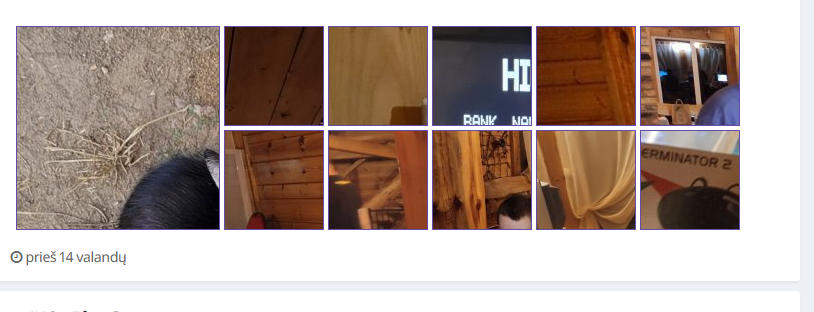 Gallery album thumbs in Steam results and pic ordering - Feedback ...